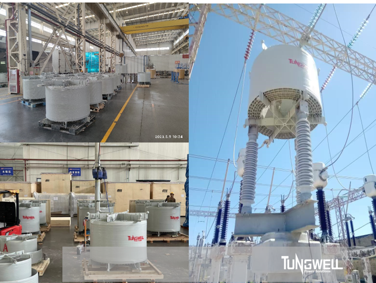 Mexico – Tran Maya Project - 32 Line Traps Successfully Installed for ...